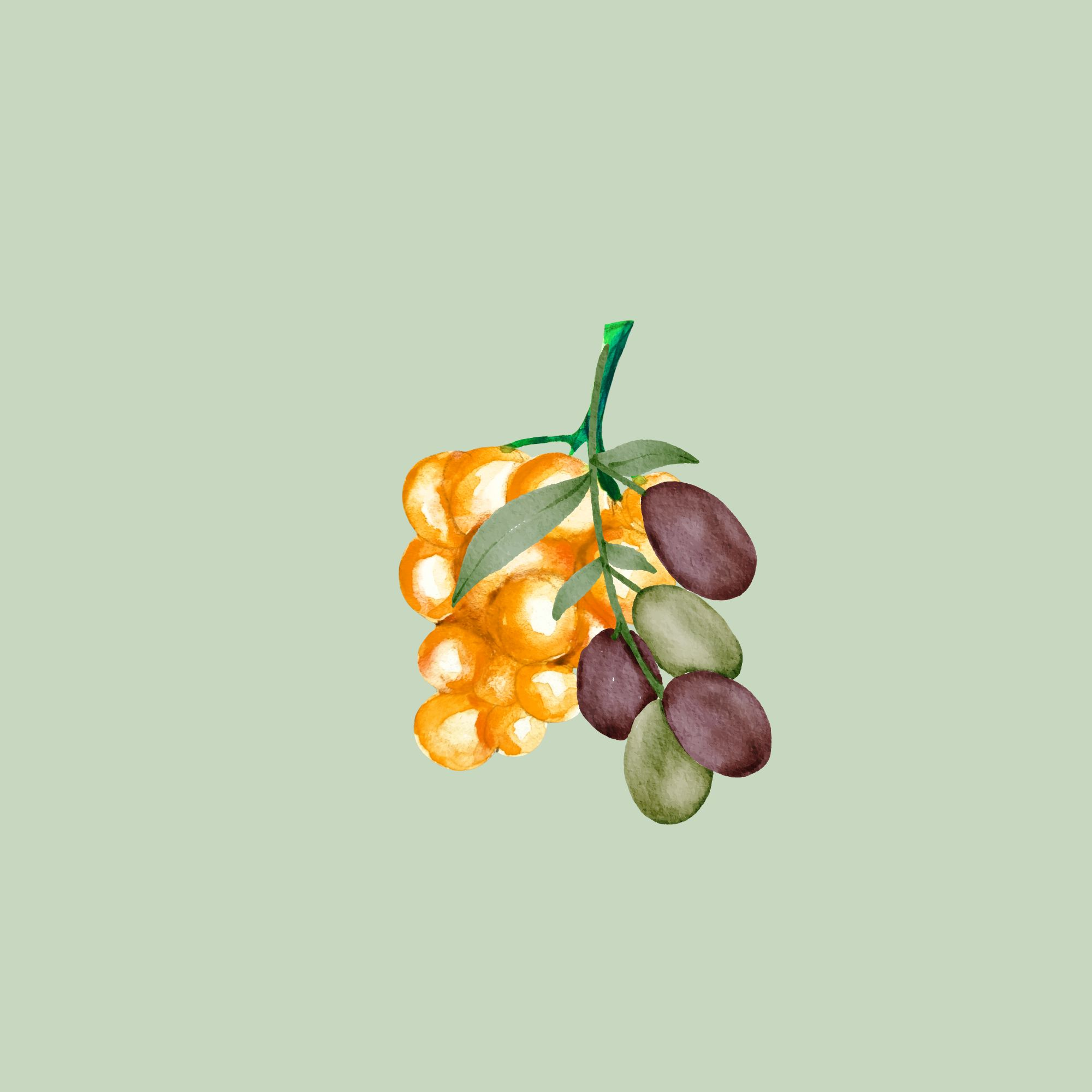Organic + Natural Wine – Whiskery